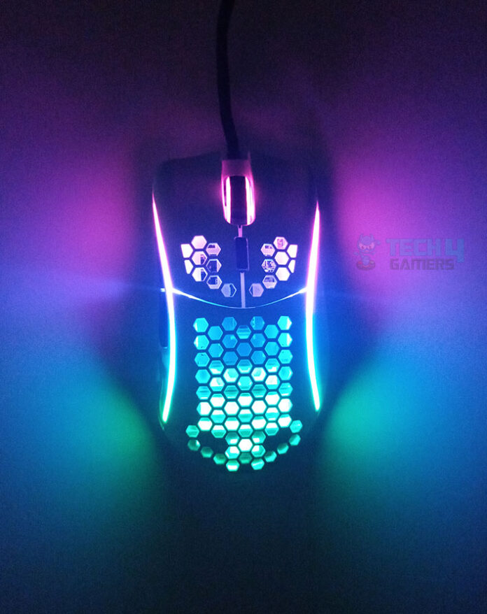 GLORIOUS Model D Minus Mouse Review - Tech4Gamers