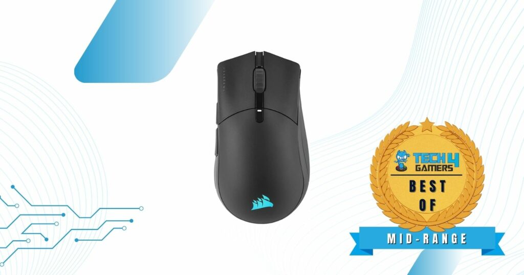 6 BEST Palm Grip Gaming Mouse [All Tested] - Tech4Gamers