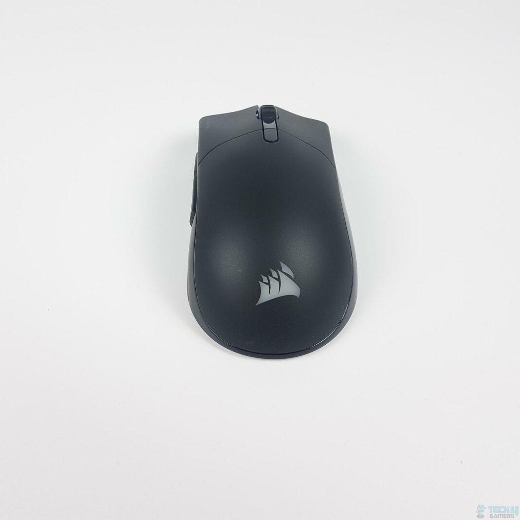 6 BEST Palm Grip Gaming Mouse [All Tested] - Tech4Gamers