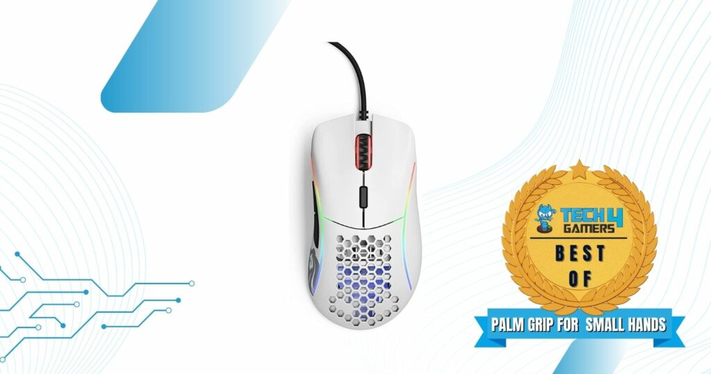 6 BEST Palm Grip Gaming Mouse In 2024 [All Tested] - Tech4Gamers