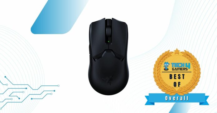 6 BEST Palm Grip Gaming Mouse [All Tested] - Tech4Gamers