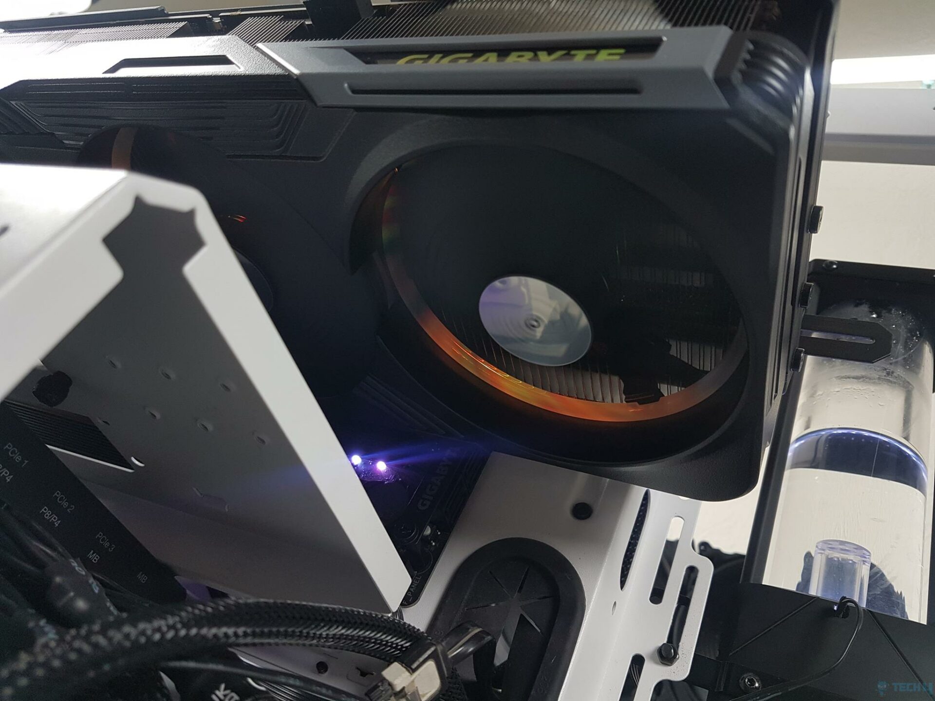 6 BEST GPU For Core i9-14900K [Top Performance] - Tech4Gamers