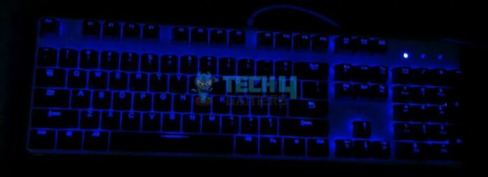 Guide: How To Change Color On Havit Keyboard? - Tech4Gamers
