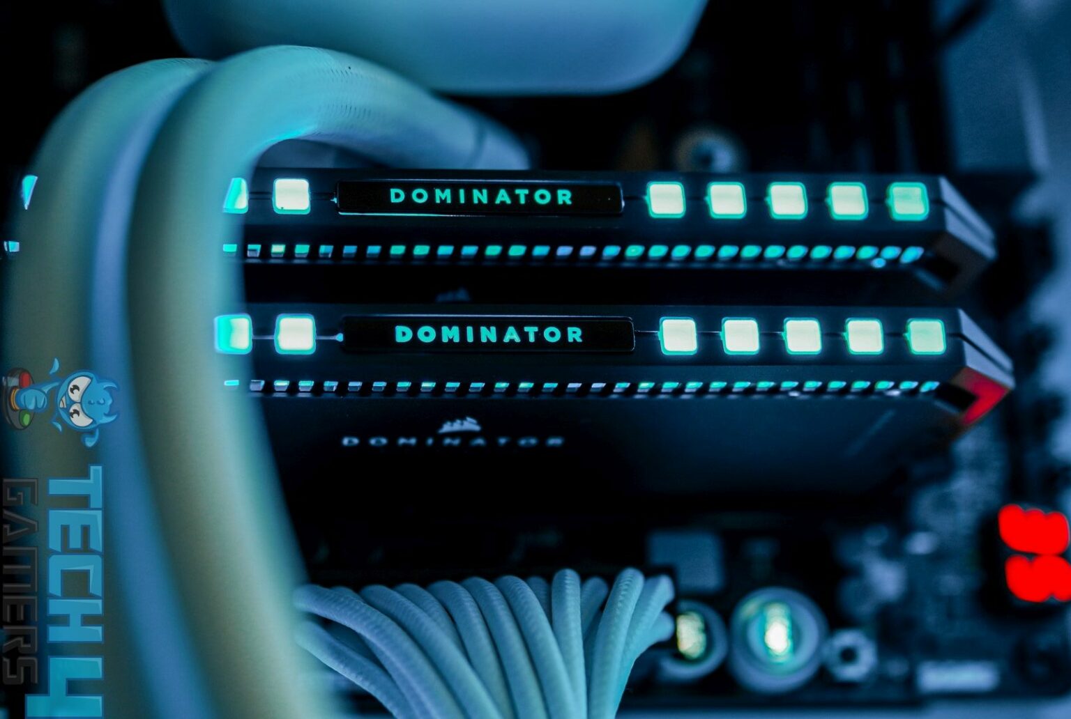 Our Tried And Tested Best RAM For i5-14600K [With Benchmarks]