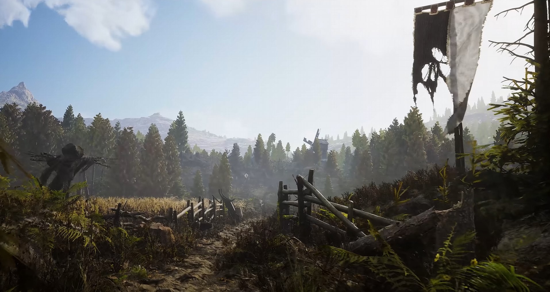 Witcher Spin-Off Project Sirius Will Be "One For The Books", Claims Ex ...