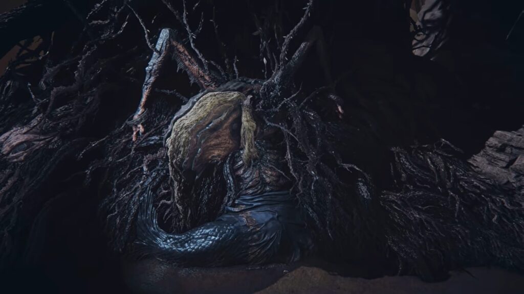 Everything I Desperately Want In Elden Ring Shadow of The Erdtree