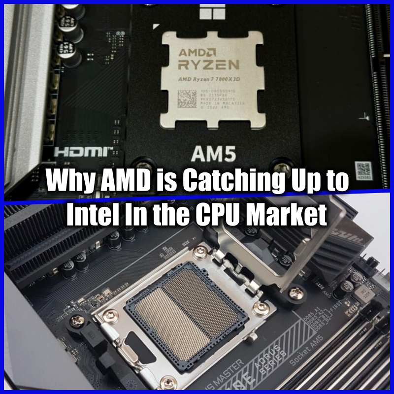 How AMD is Catching Up To Intel In 2024 - Tech4Gamers