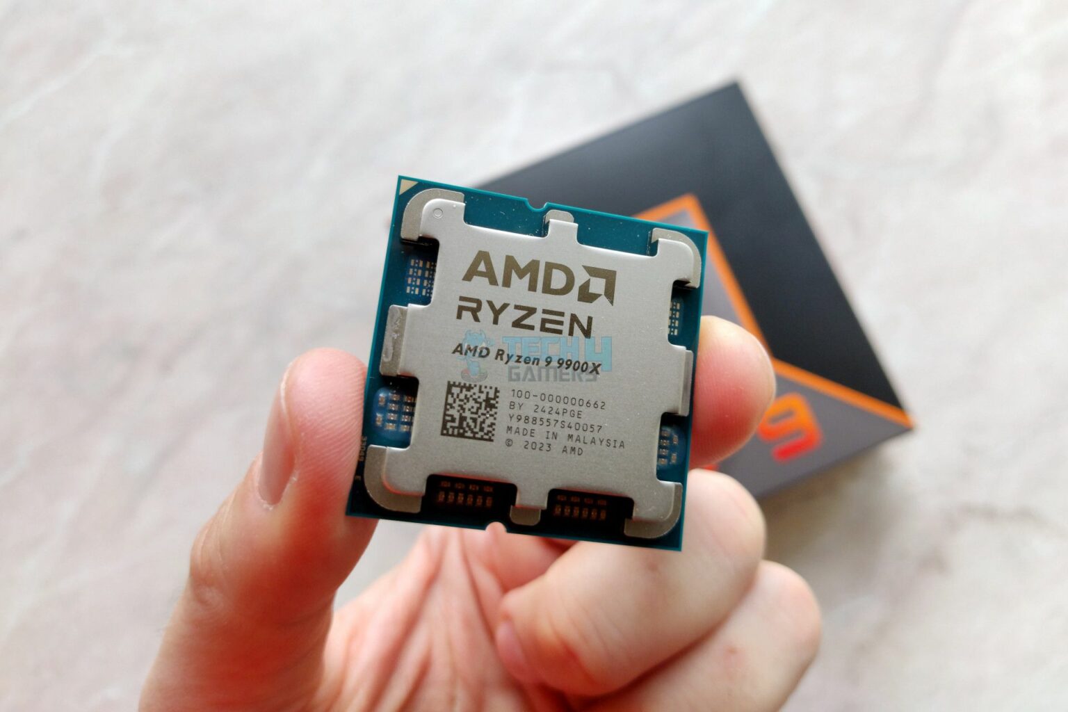 AMD Ryzen 9 9900X Review: A Productivity Powerhouse, A Gaming Letdown ...