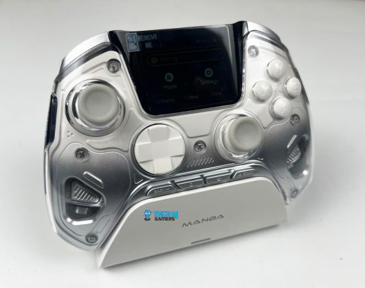 Manba One Ver 2 Controller Review: Offers Both Precision & Style ...