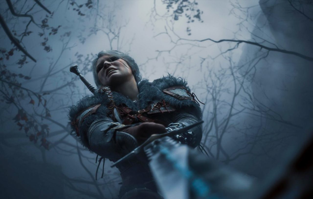 The Witcher 4: A Huge Team Working to Build the Most Believable Open ...